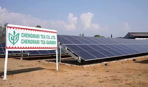 TPREL lights up Asia’s largest tea estate with innovative Solar Power ...