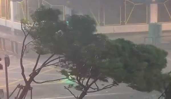 China renews blue alert for gales