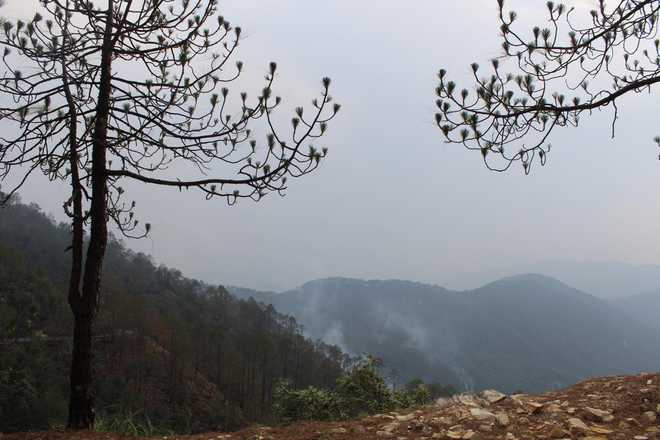 Killjoy moment for tourists as forest fires play havoc in Uttarakhand